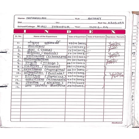 Algae and Fungi BSc 1st Sem Botany Practical File Hindi Medium PDF ...