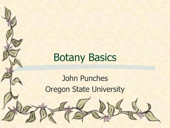 Plant structure adaptations and responses | PPT