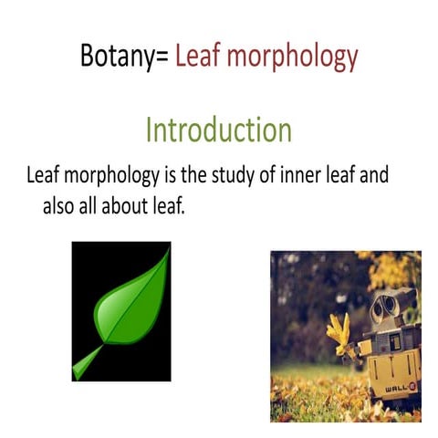 Botany= leaf morphology | PPT