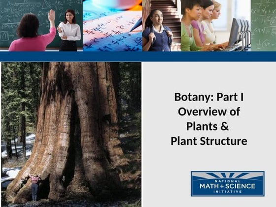 Plant function cheat sheet | PDF