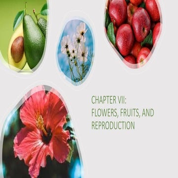 BOTANY POWERPOINT.pptxFLOWER, FRUIT, SEEDS | PPTX