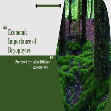 botany ppt.bryophyta.pptx