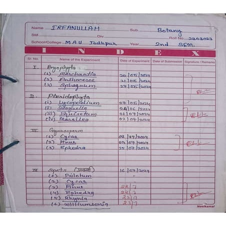Bryophytes Pteridophytes Gymnosperms Botany Practical File 2nd Sem