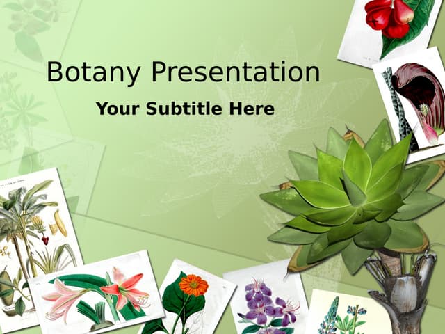 Botany | PPTX