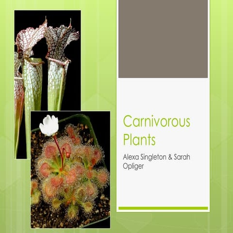 Botany presentation | PPT | Free Download