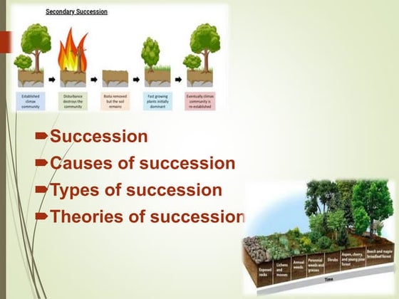 Succession | PPT