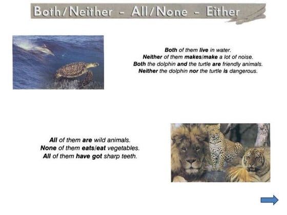 B2 speaking-topics | PDF