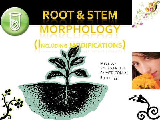 Modifications of roots | PPTX