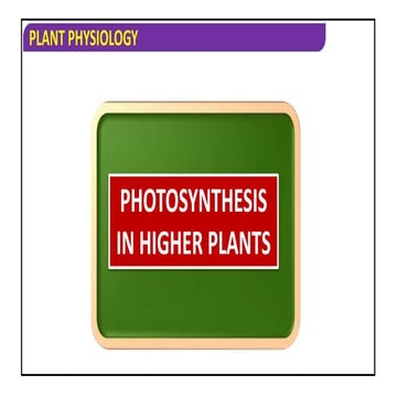 BOT SR PIHP M06 OBJ EXCER II.pptx