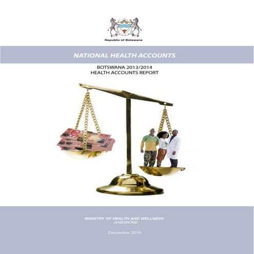Botswana 2013-2014 Health Accounts: Main Report | PDF