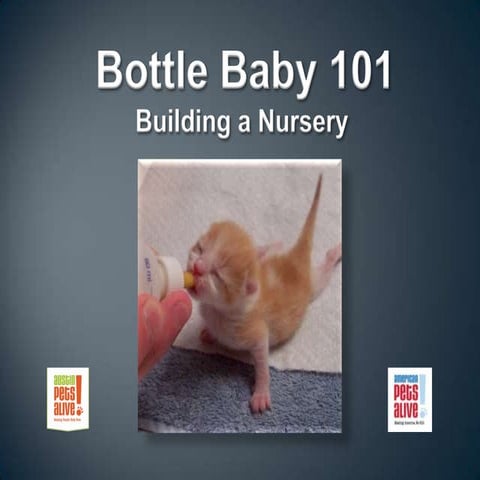Bottle baby 101: Building a Nursery | PPTX | Parenting Babies and ...