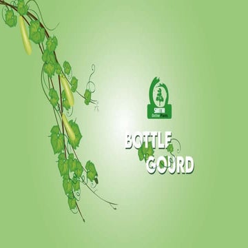 Bottle Gourd | PPTX