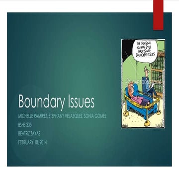 Boundary issues | PPT