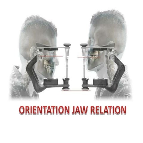 orientation jaw relation | PPTX