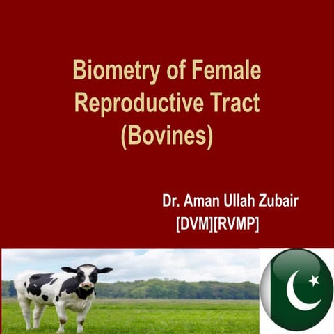 Anatomy of Female reproductive system.pdf