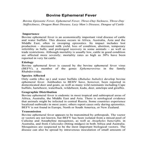 Bovine ephemeral fever | DOCX