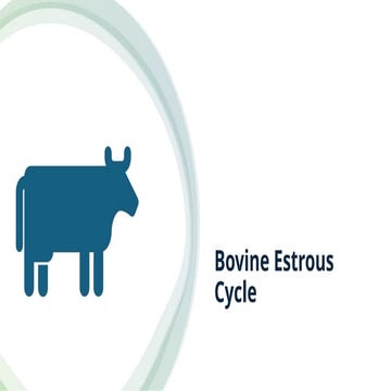 Lecture 3 estrous cycle and estrus signs in domestic animals | PDF