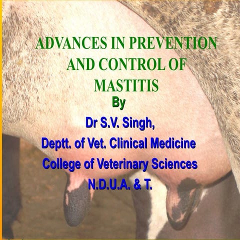 Bovine mastitis prevention and control | PPT