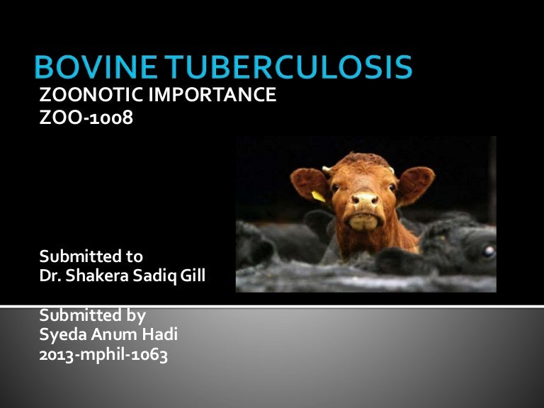 Bovine tuberculosis
