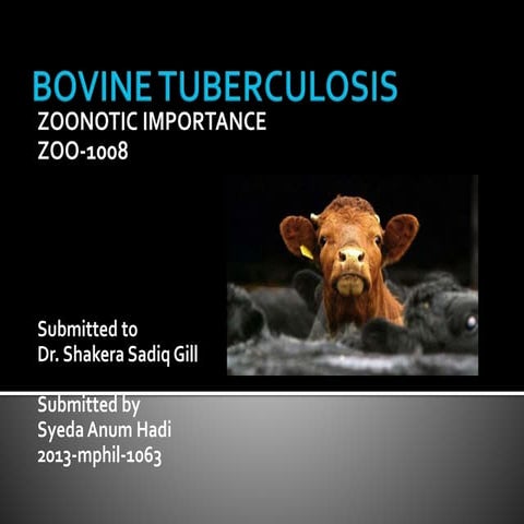 Bovine tuberculosis | PPTX