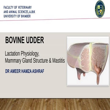 16 bovine mammary glands complete | PPT