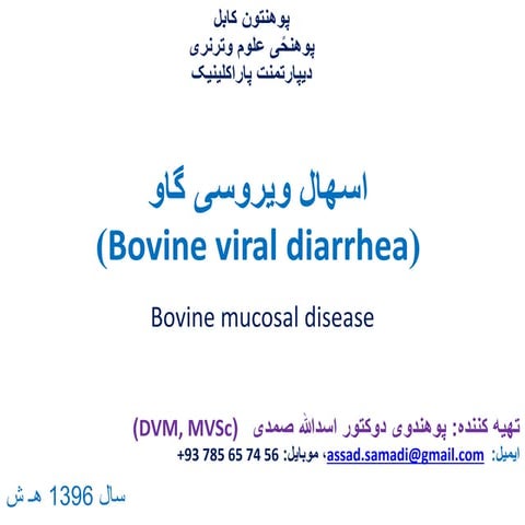 Bovine virus diarrhea | PPT