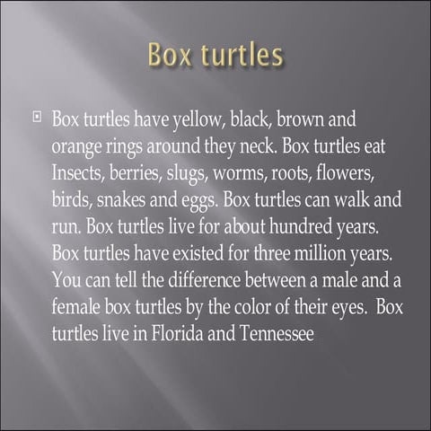 Box Turtles | PPT