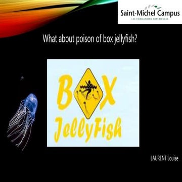 Box fellyfish | PPTX