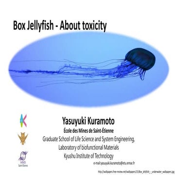 Box jellyfish toxicity | PPTX | Zoos & Aquariums | Attractions