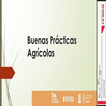 BPA presentacion.pptx