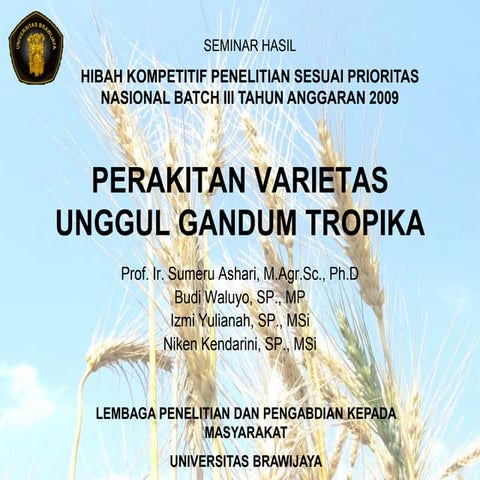 Perakitan Varietas Unggul Gandum Tropika | PDF