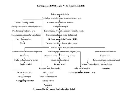Leaflet bhp akper pemda muna | PPT