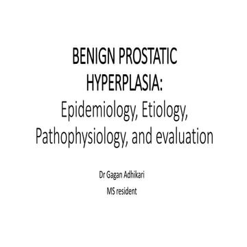 BENIGN PROSTATIC HYPERPLASIA: Epidemiology, Etiology, Pathophysiology ...