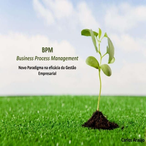 BPM: Conceitos de Gestão de Processos de Negócios | PDF