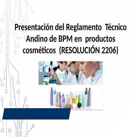 BPM REGLAMENTO TECNICO ANDINO DE BPM.pptx
