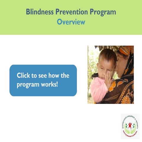 Blindness Prevention Program Overview | PPT