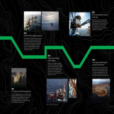 Bp present panel | PDF