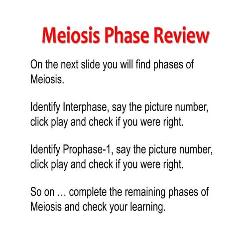 Phases of Meiosis-Review | PPT