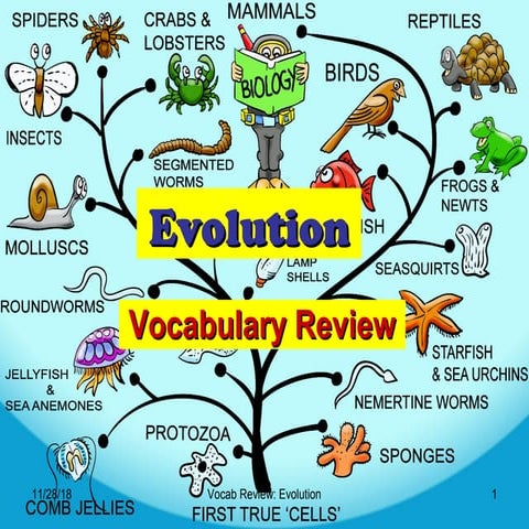 Evolution Vocabulary Flash Cards | PPT