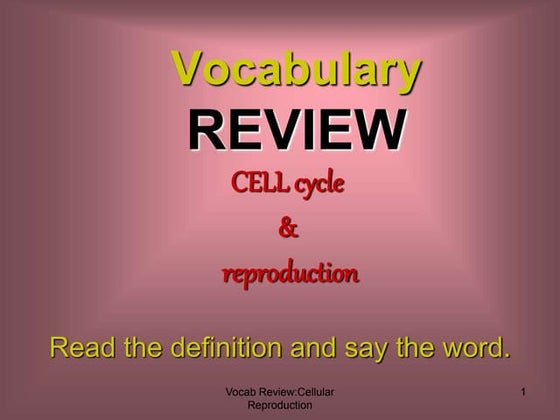 Meiosis-Identify the phase | PPT