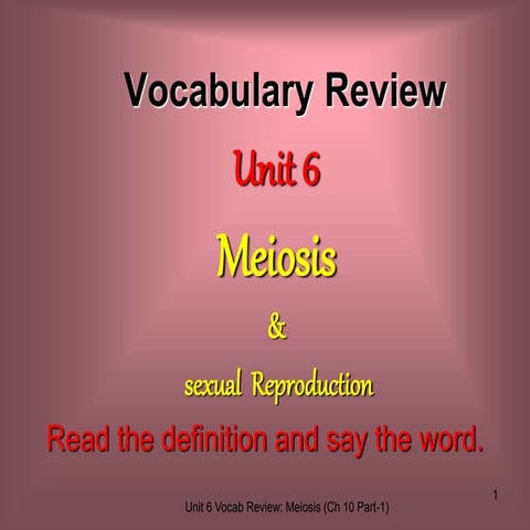 Meiosis Vocab Review | PPT