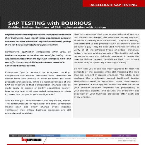Sap manual testing | PDF