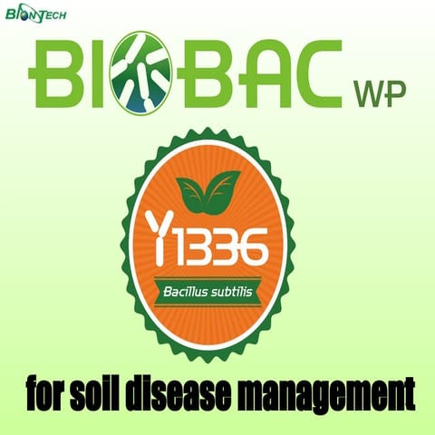 BIOBAC_Y1336_for_soil_disease_management_-_New.pptx