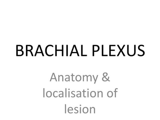 Brachial Plexus Anatomy | PPTX