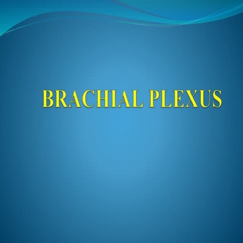 Brachial plexus | PPTX