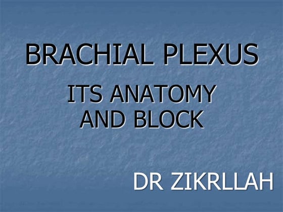 Brachial Plexus Anatomy | PPTX