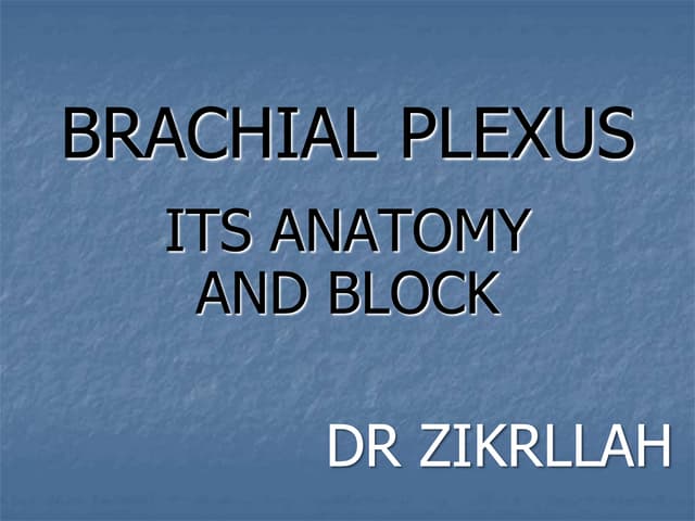 Anatomy of Brachial Plexus | PPTX