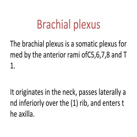 Brachial plexus.pptx