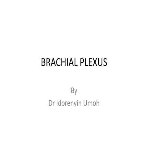 Brachial Plexus Anatomy | PPTX
