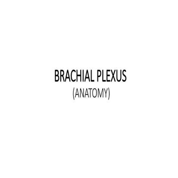 BRACHIAL PLEXUS.pptx Clinical Anatomy .. | PPT